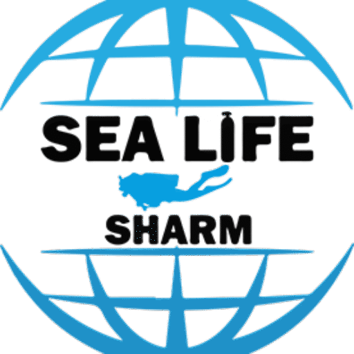 Diving – Sea Life Diving Center Sharm el Sheikh